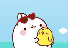 Molang | The Coconut