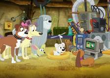 Pound Puppies | Puddles the Problem Pup