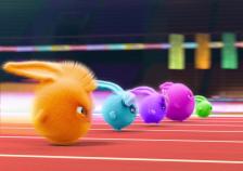 Sunny Bunnies | Who is faster?