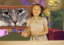 Wild Explorers | 10 Facts About Wildcats!